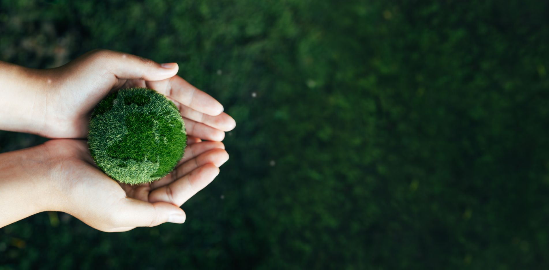 Compromiso ambiental.